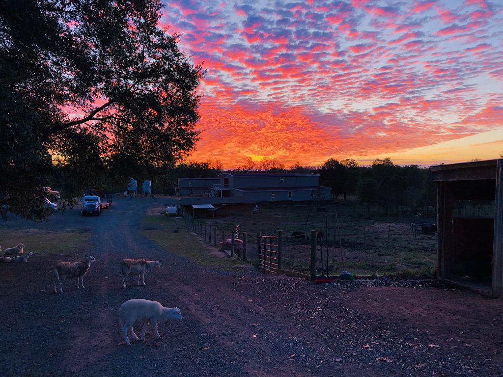 Virtual Ranch - Happy Family Ranch